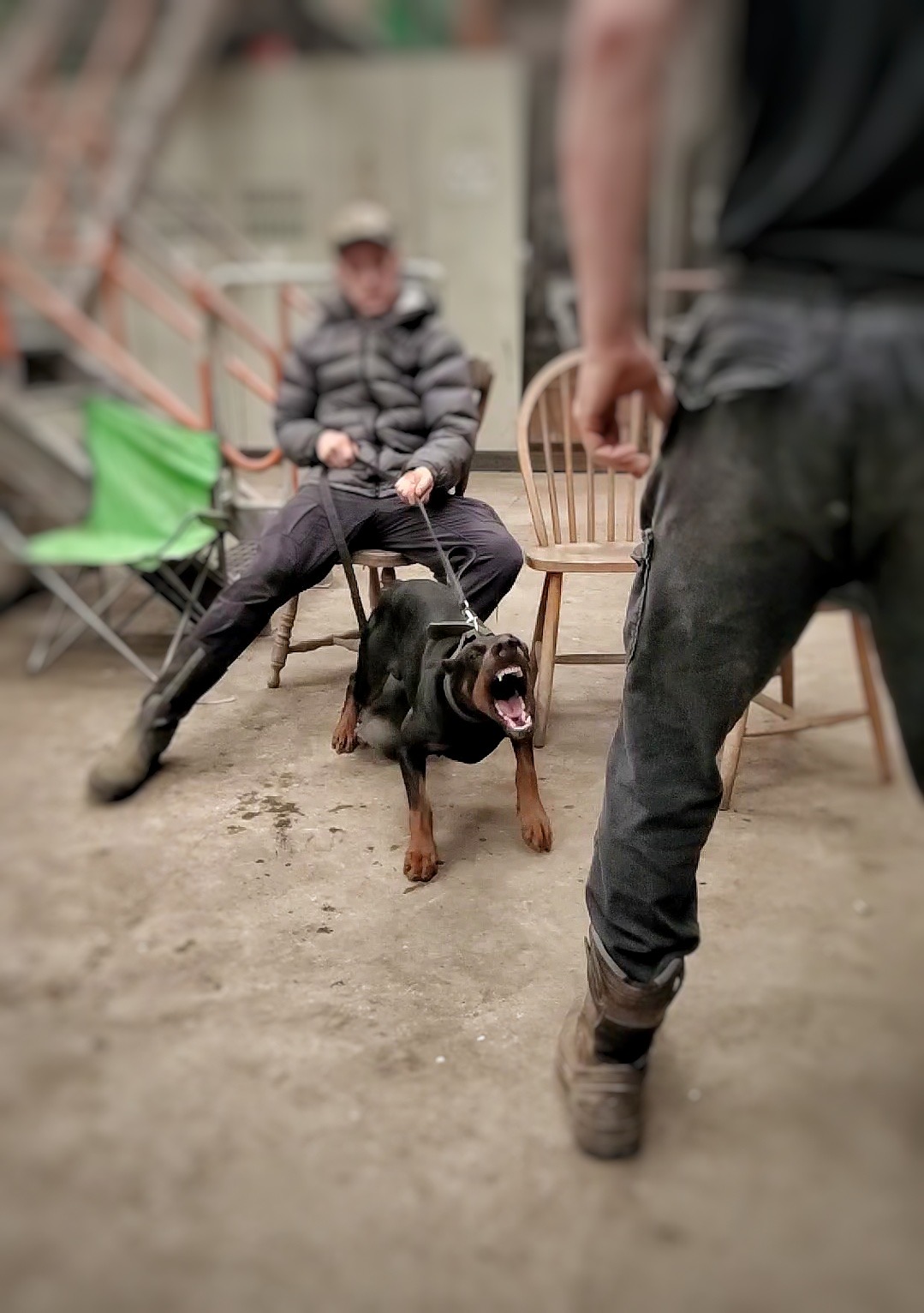 PERSONAL PROTECTION DOG: WHY CONTROLLED AGGRESSION WINS - The Dog ...